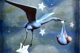 Efectos secundarios y contraindicaciones del anillo vaginal - WebSalud